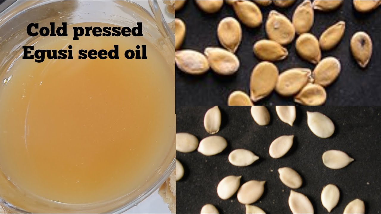 EASIEST WAY TO MAKE || COLD PRESSED SEED OIL EGUSI OIL AFRICAN SEED ...