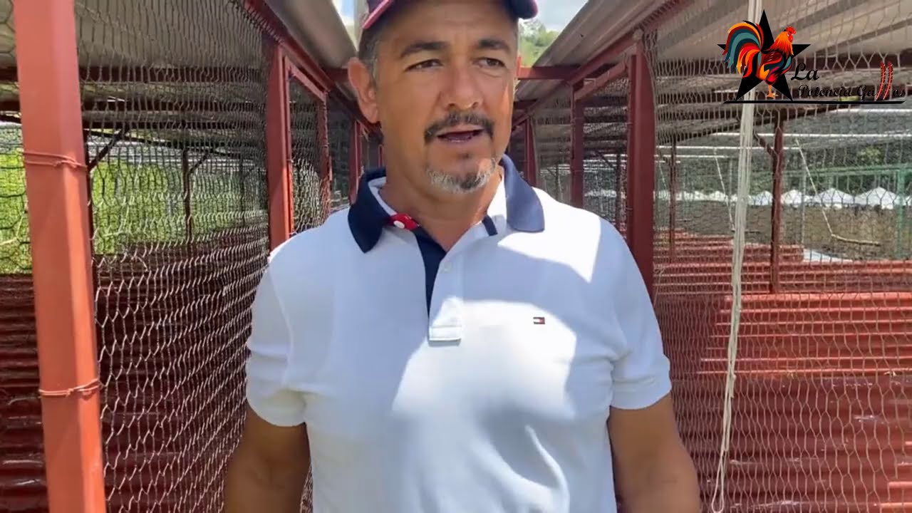 Traba Jose Plasencia, Jarabacoa, Rep. Dom. - YouTube