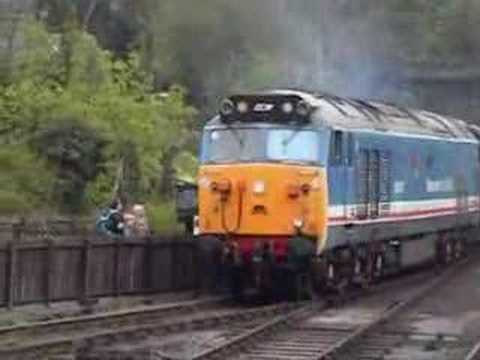 50027 Lion - YouTube