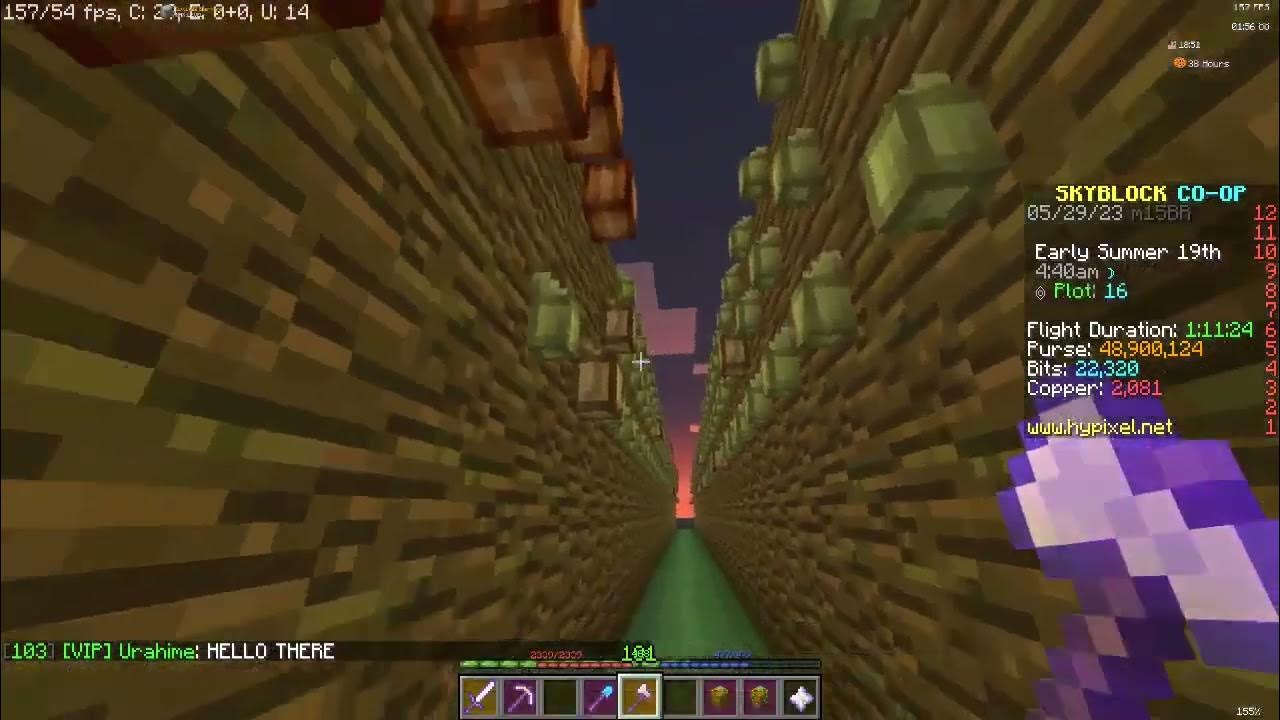 (SCRIPT IN DESC) Finally macro checked after 378M cocoa beans collection in hypixel skyblock ...