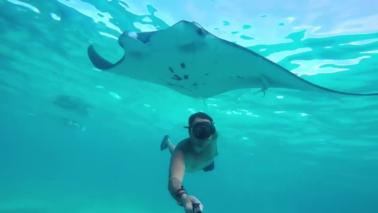 Viaja a bordo de Aqua Expeditions - YouTube