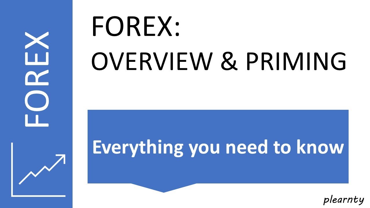 Overview: Beginner Guide to Forex Trading | The Complete Forex Trading ...