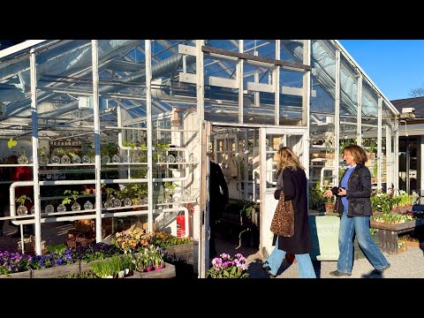 Beautiful Scandinavian Spring in Stockholm 🇸🇪| Greenhouse, Cozy Café & Home Decoration Ideas 2026
