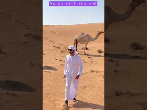 Arab boys attitude status🔥 #boys attitude status 😎🔥👿# model    attitude status #shorts🙏👍🥰