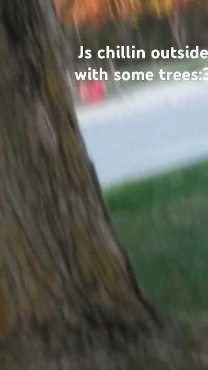 Looking at tree - YouTube