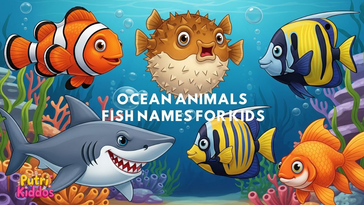 Fish Names | Learn 25 Ocean Animal Names Vertebrate Fish for Kids | Sea ...