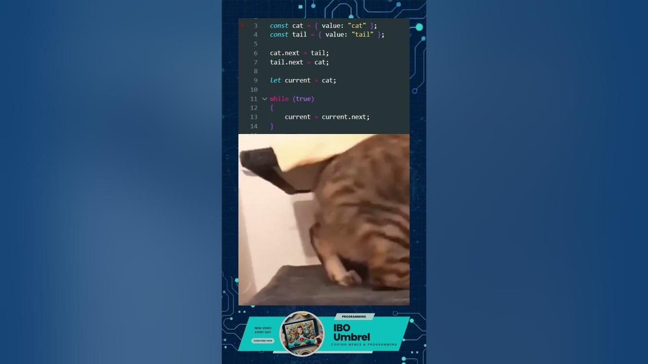 Endless Tail Chase Coding Programming Javascript Python Youtube