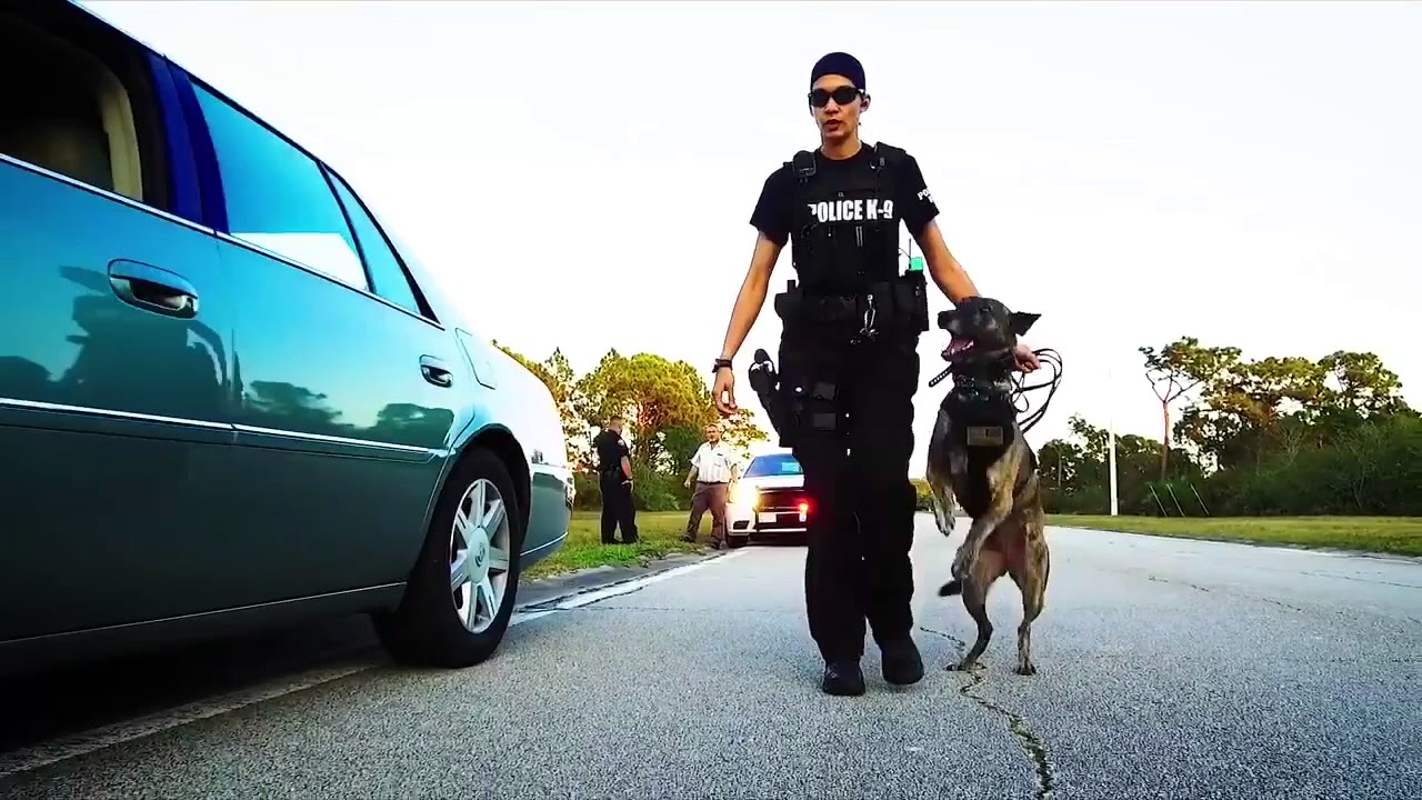 Police Tribute - Highest And Greatest - YouTube