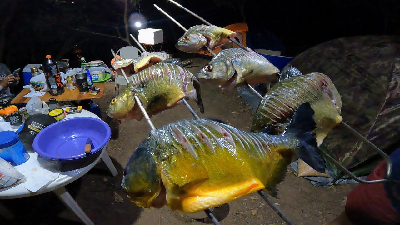 PEIXE ASSADO NO FOGÃO DE LENHA NO ACAMPAMENTO AS DENTUÇAS VIROU JANTA ...