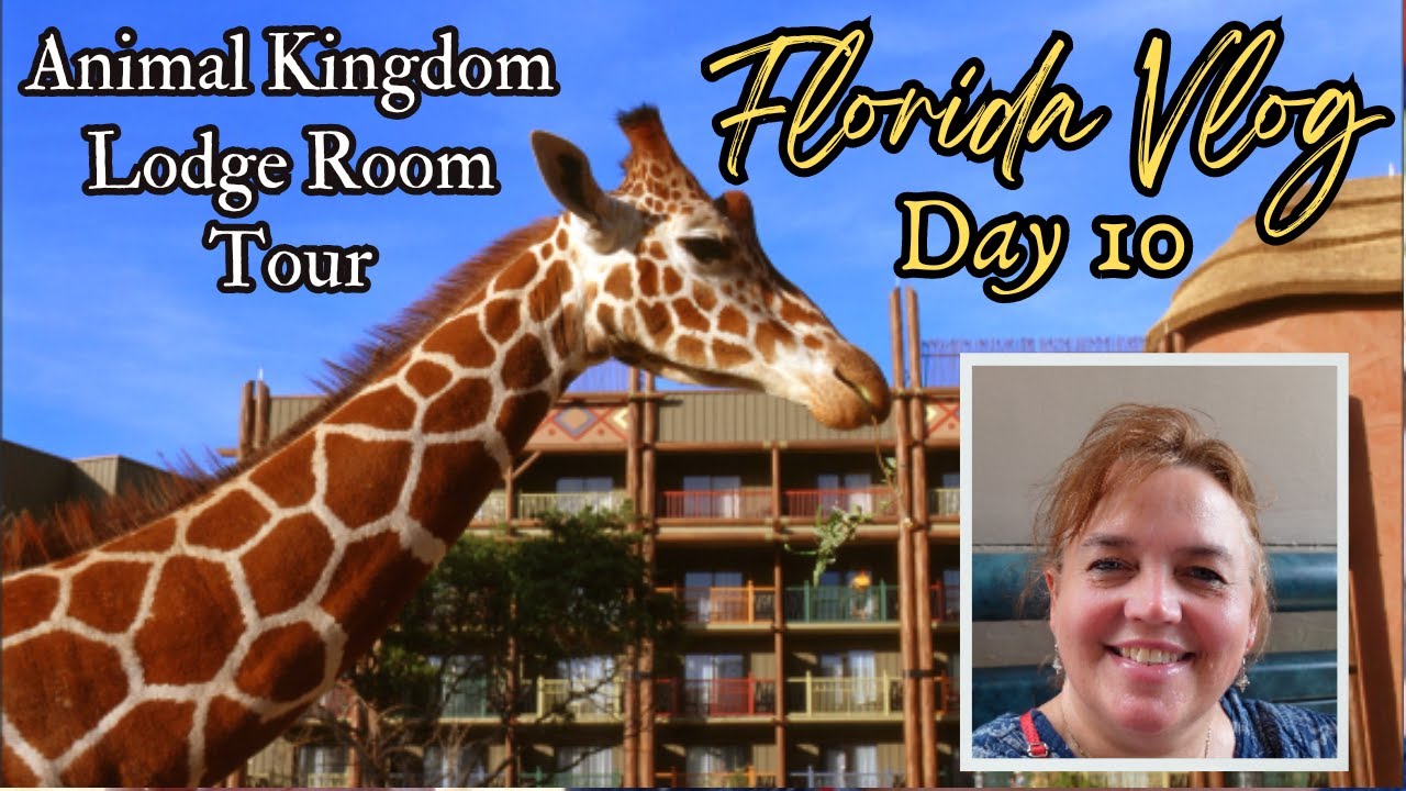 Florida Vlog Day 10 - Universal, Cheesecake Factory Food Review & Room ...