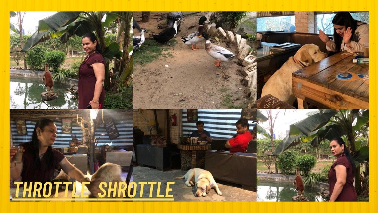 Throttle Shrottle Cafe Gurgaon Review| Fun & Dog-Friendly places to ...