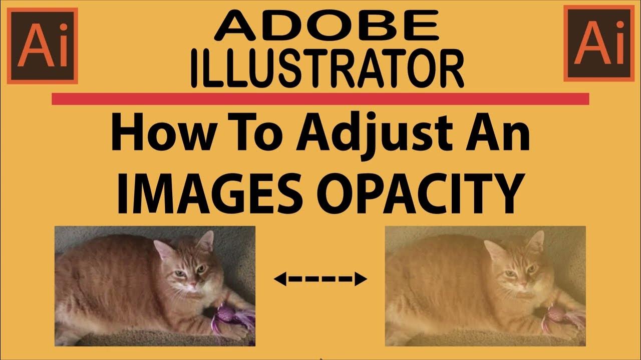 How To Adjust An Images Opacity In Adobe Illustrator - YouTube