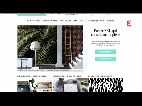 Le gros buzz en déco : des papiers peints hallucinants ! - 2016/03/05