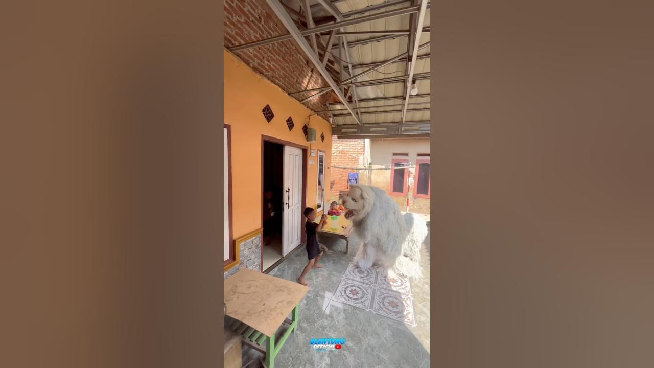 Kaget di depan pintu ada can macanan Bocil ff masuk lagi bawa pedang serang can macanan - YouTube