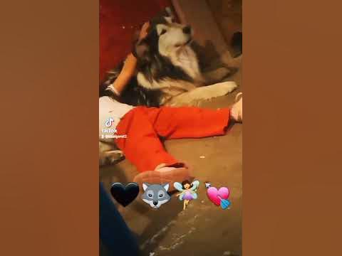 Mi Max y yo - YouTube