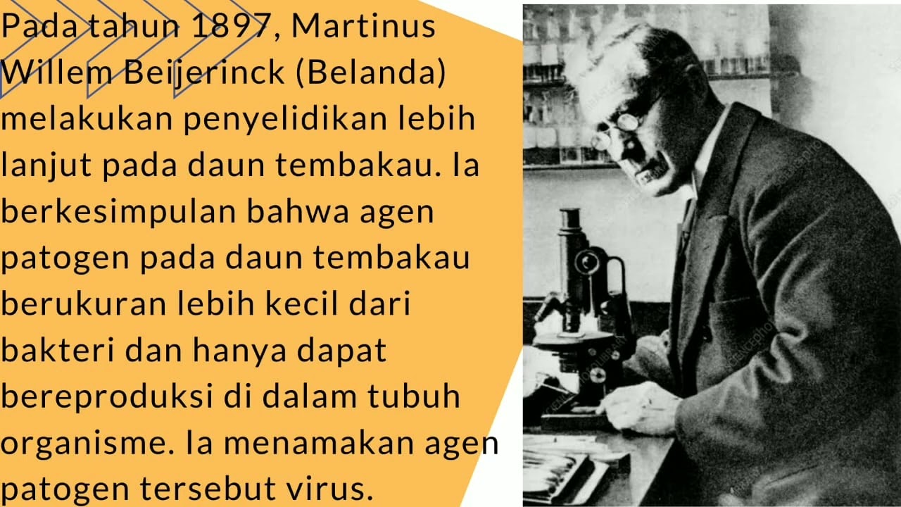 Sejarah Penemuan Virus - YouTube