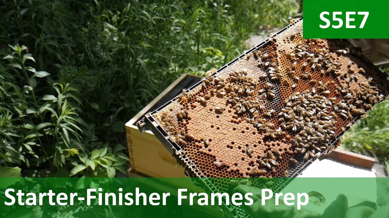 Selecting Frames For My Starter Finisher - YouTube