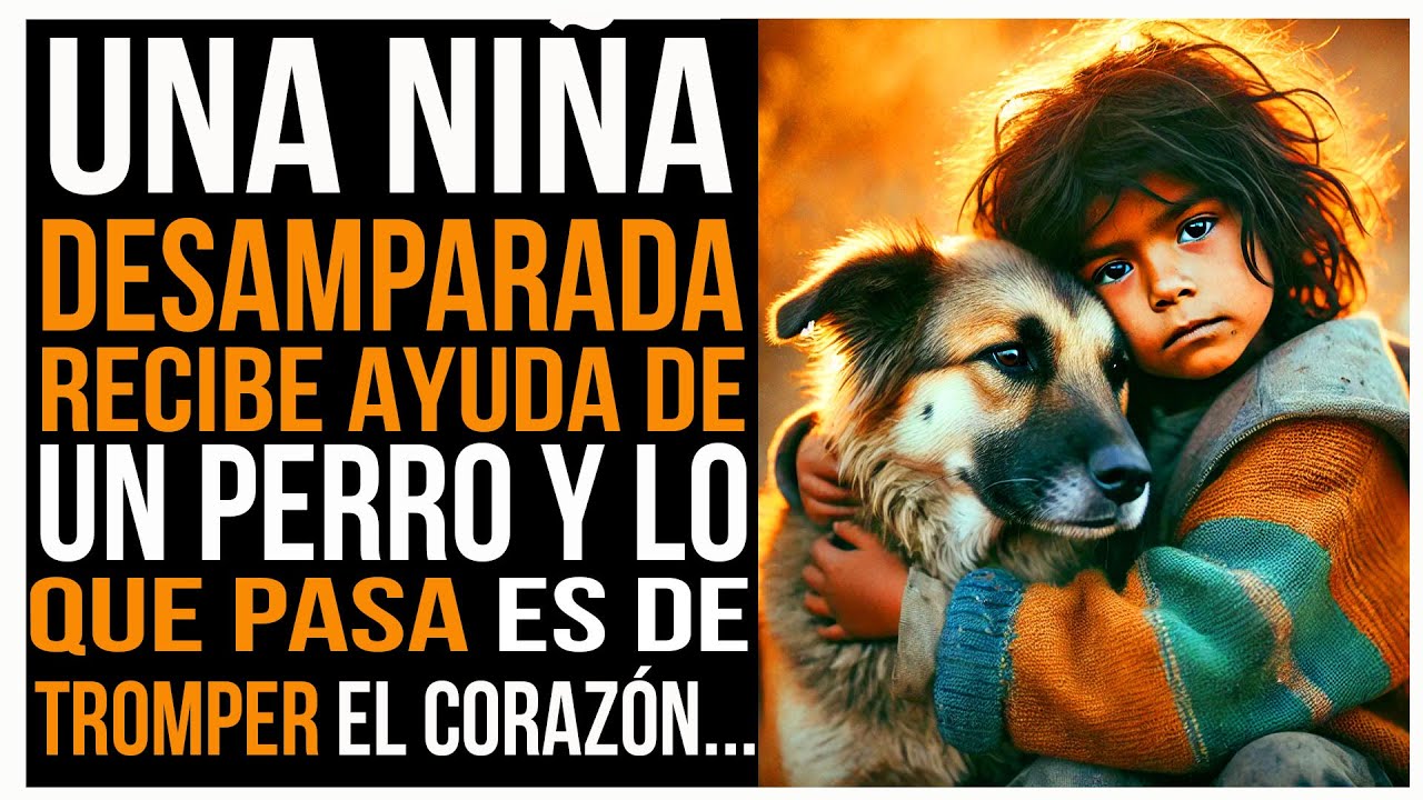 NIÑA DESAMPARADA RECIBE AYUDA DE UN PERRO Y LO QUE PASA ES DE ROMPER EL ...