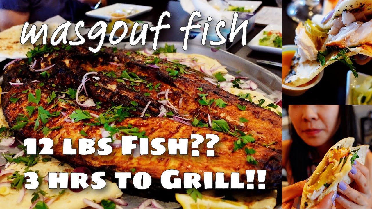 The 12 lbs FISH took 3 HOURS TO GRILL! Iraqi style Masgouf fish|SHISHA ...