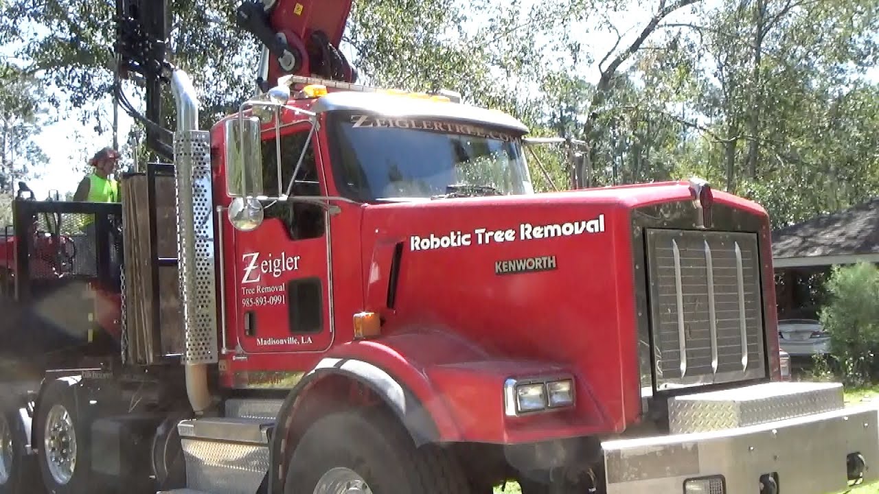 Robotic Tree Removal. - YouTube