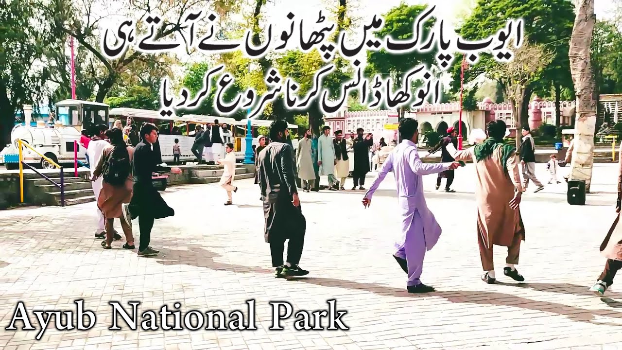 When Pathan Entered in Ayub National Park and Starting Dance - YouTube