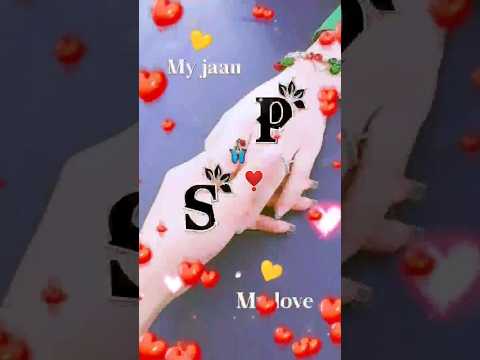 S And P Name Letter love status#shorts #name #status #viral