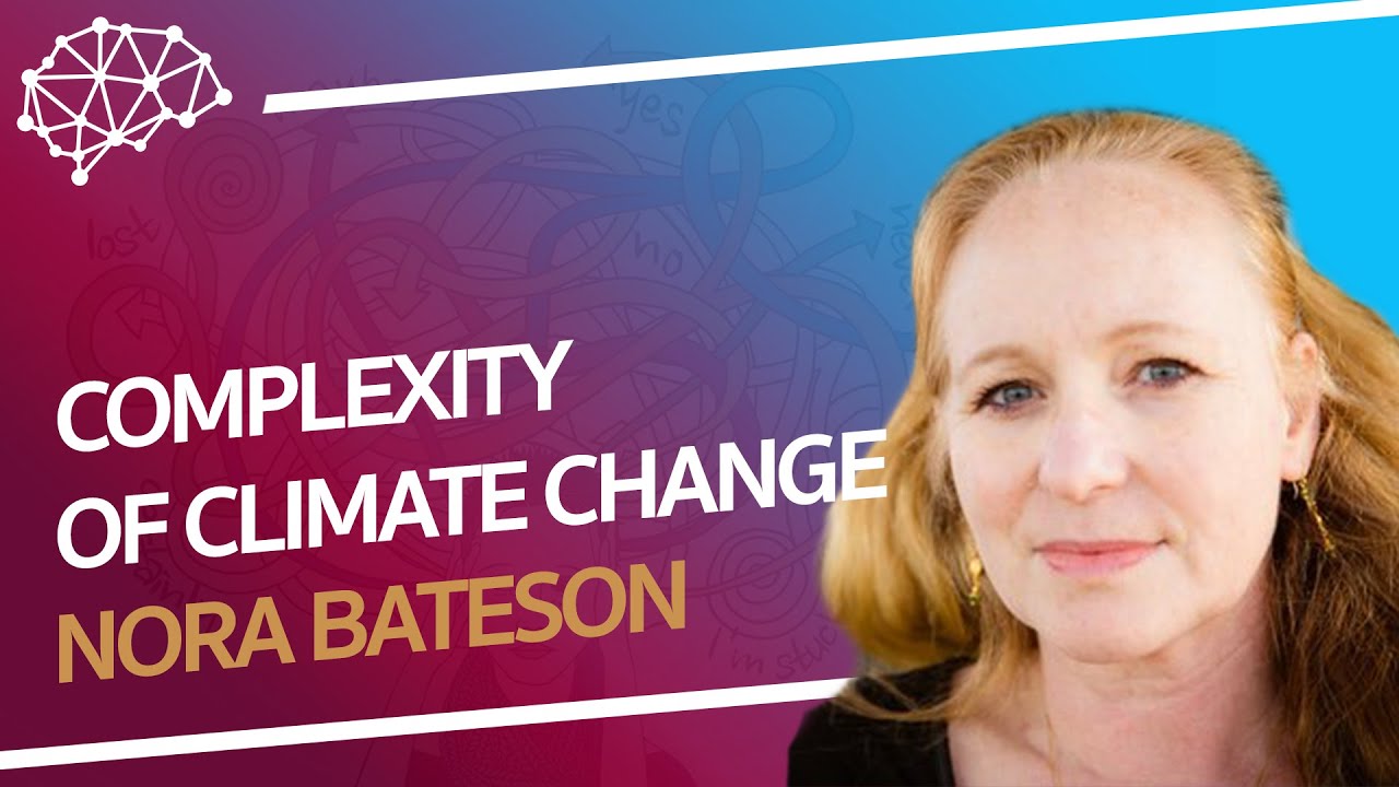 Climate Crisis: Why Everyone Is Confused - Nora Bateson - YouTube