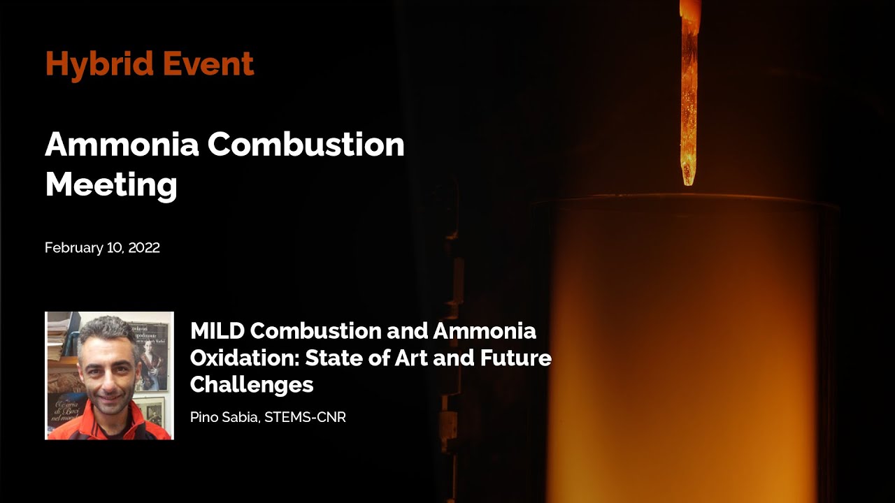 MILD Combustion and Ammonia Oxidation State of Art and Future ...