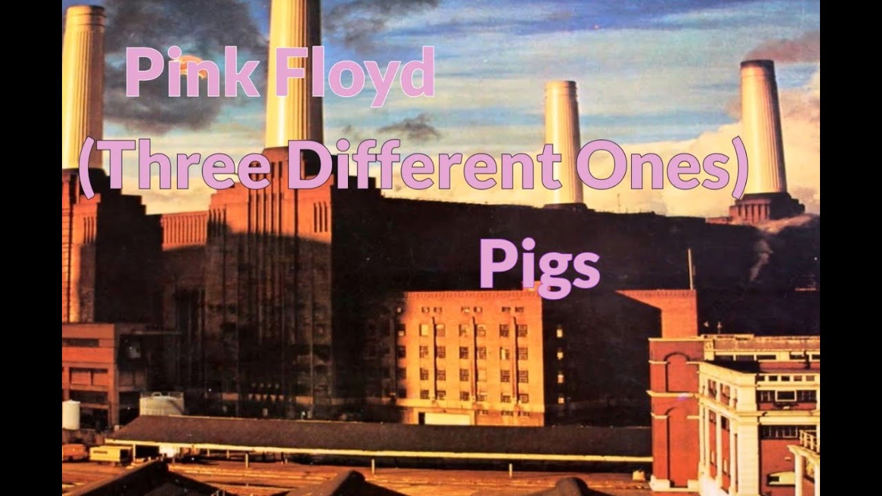 Pink Floyd - Pigs (Three Different Ones) - Instrumental Cover # ...