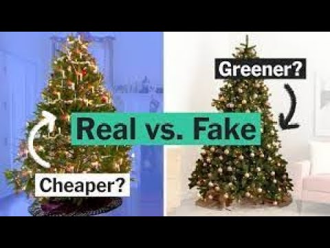 REAL VS FAKE CHRISTMAS TREE DEBATE! - YouTube