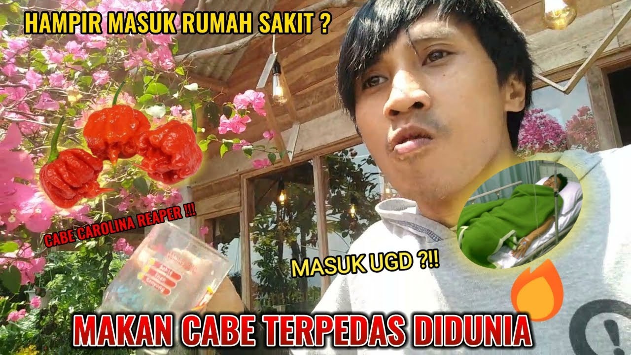 MAKAN CABE TERPEDAS DI DUNIA HAMPIR MASUK RUMAH SAKIT ?!!! - YouTube