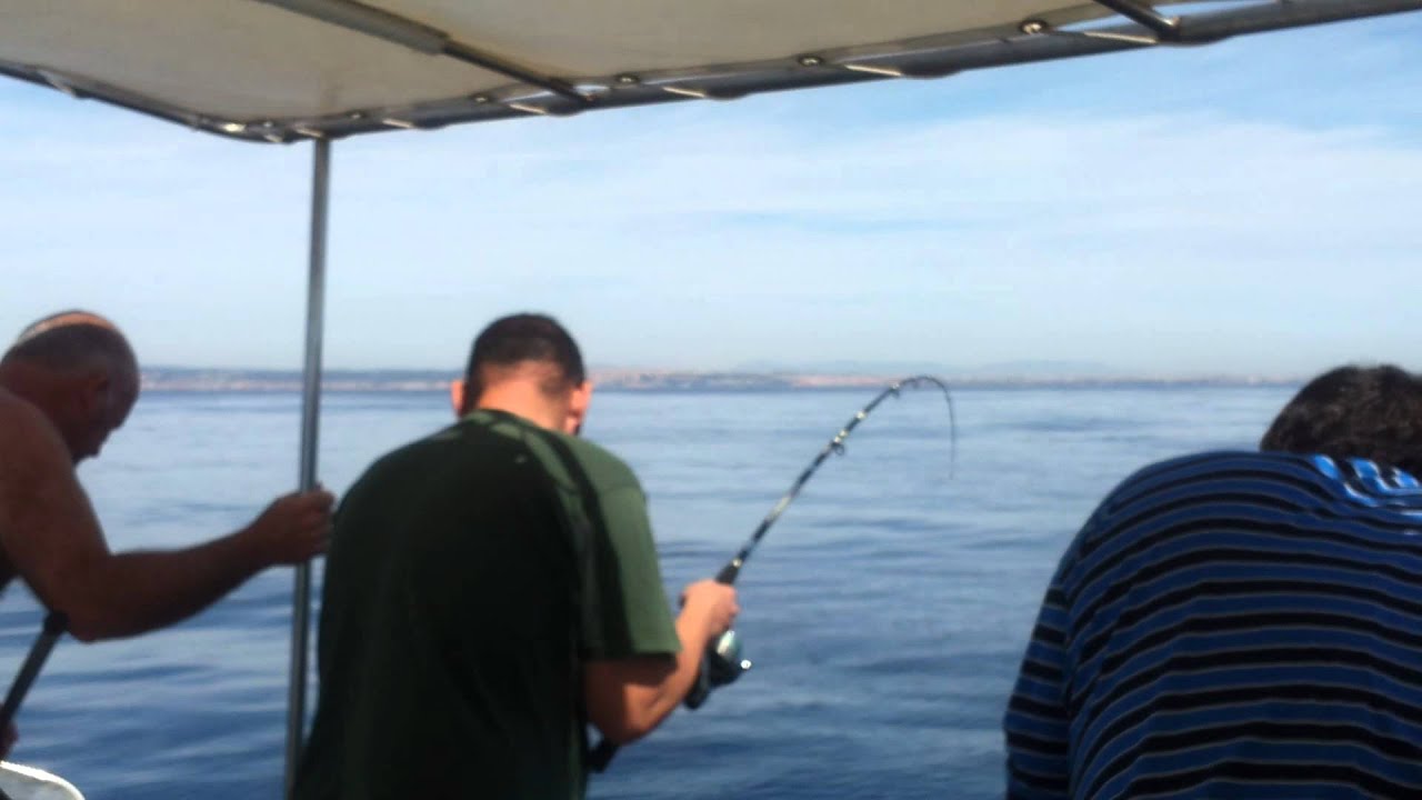 Pesca al chambel torre de la horadada. Pargo - YouTube