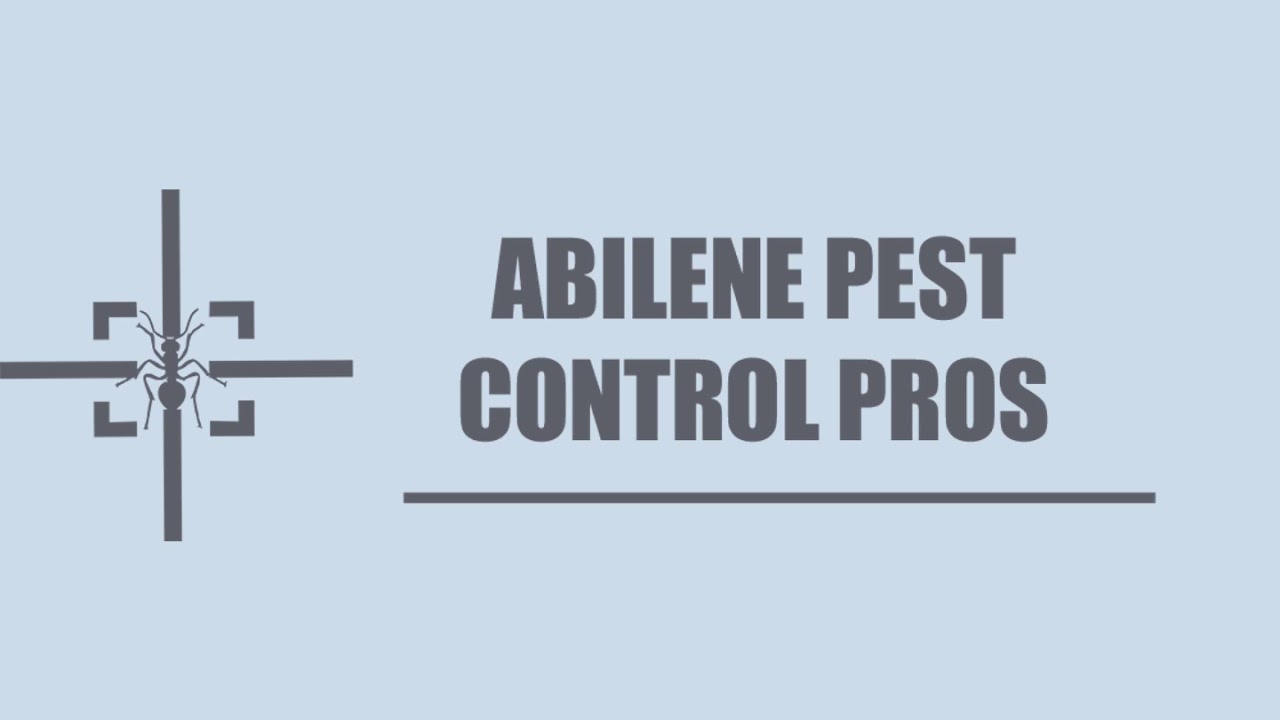 Abilene Pest Control Pros - Mice Control Service in Abilene TX - YouTube