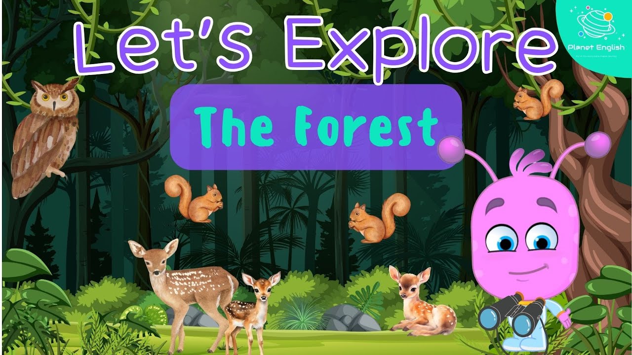 Let's Explore the Enchanted Forest: Discovering its Wonders and ...