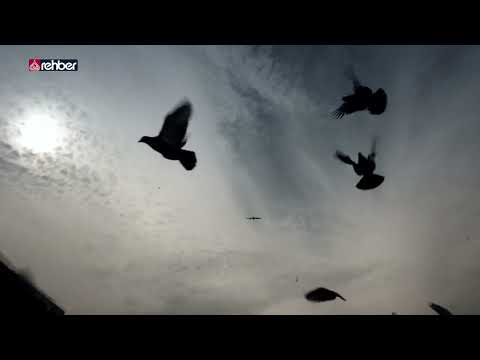 Güle güle demiyoruz! Sadece şükrediyoruz...! | Elveda Ya Şehr-i Ramazan. @RehberTV