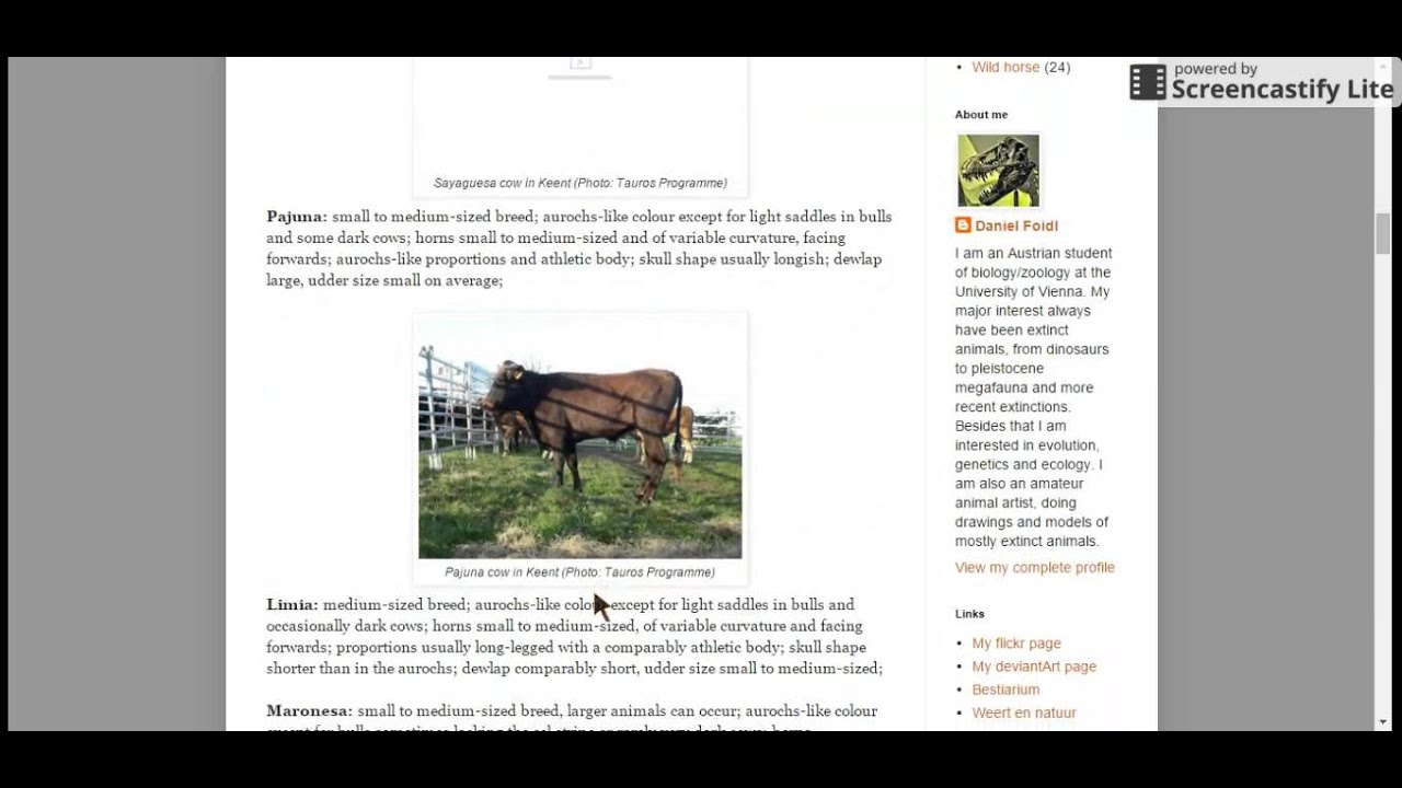 TaurOs Project pt 2 - YouTube