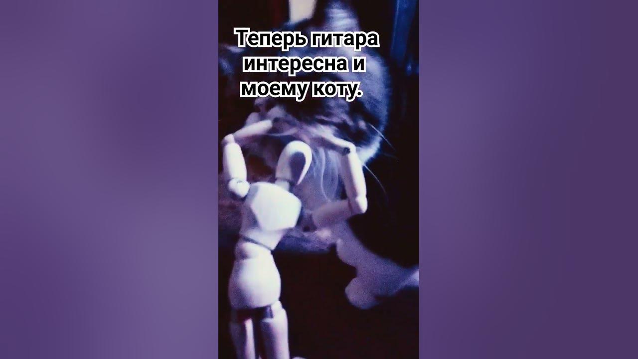 х о ч у в р е к о м е н д а ц и и видео с котиком💗 гитара Youtube