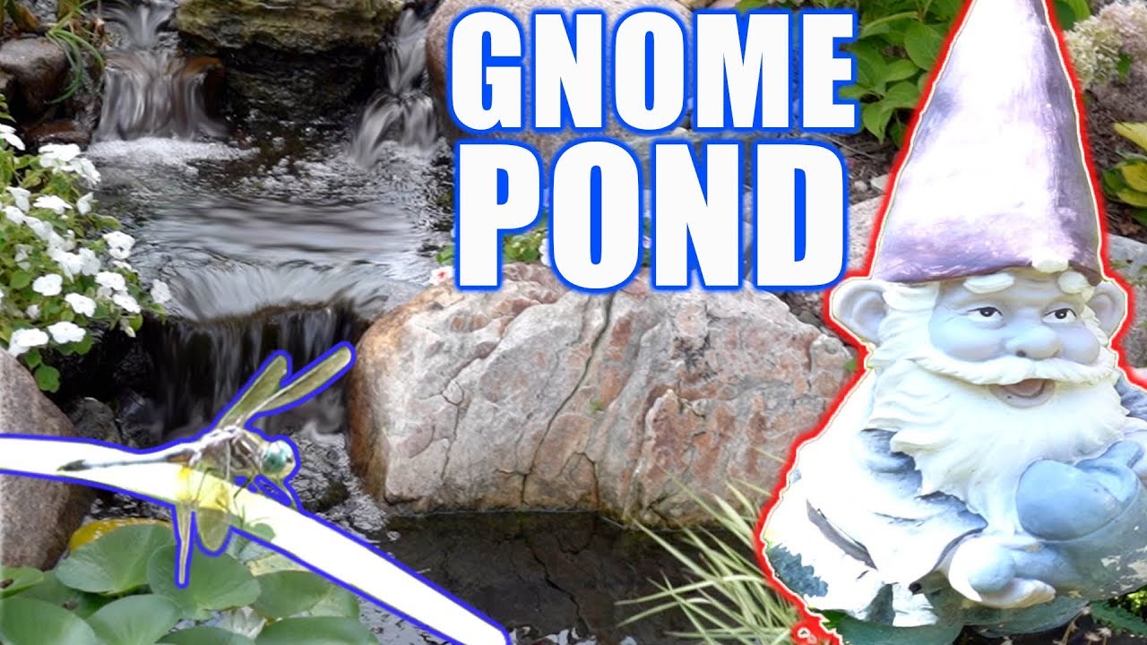 Snow Birds Love their GNOME POND More than FLORIDA!! - YouTube