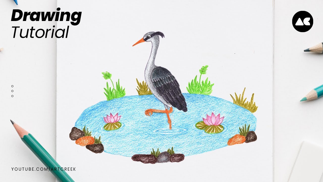 How to Draw a Crane in the Pond with color pencils and Shading - Easy ...