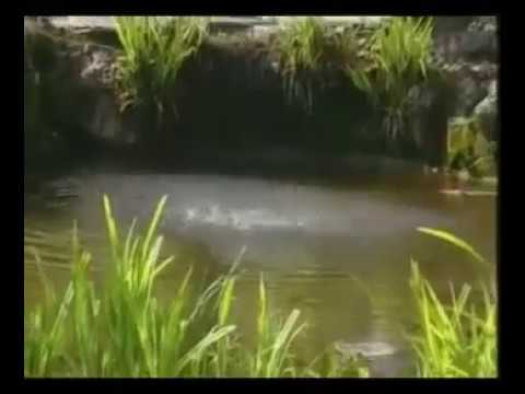 Bende Gireyim - Feridün Eroğlu - İlahi