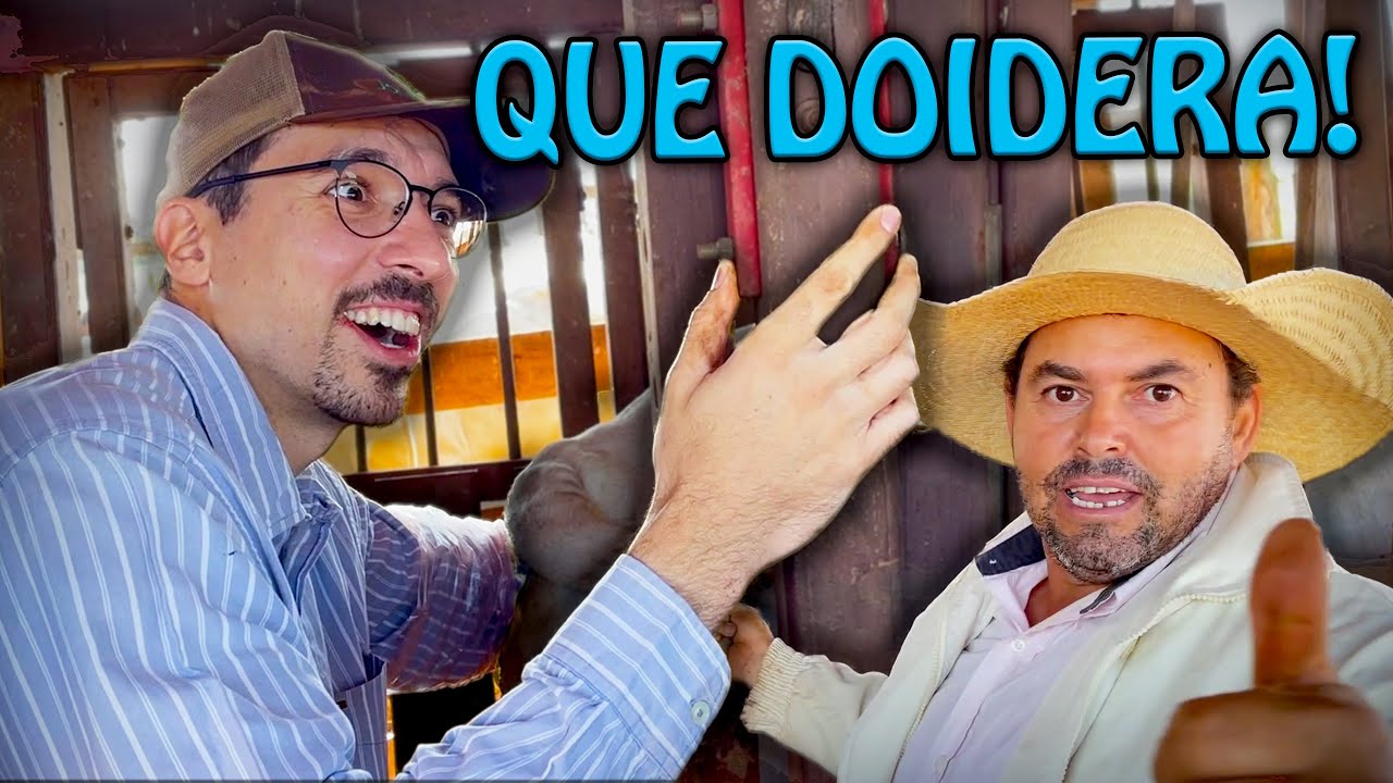 FIZ TOQUE PELA PRIMEIRA VEZ NAS VACAS! - YouTube