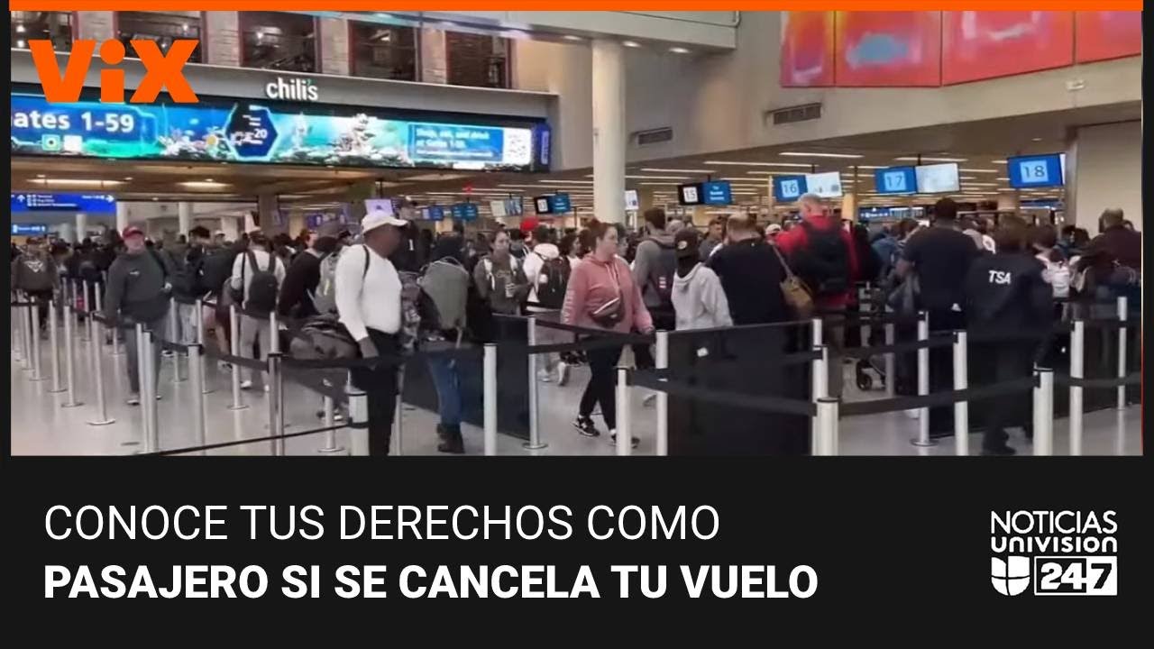 🔴 En vivo ViX: Noticias Univision 24/7 Horario Estelar, 28 de diciembre ...