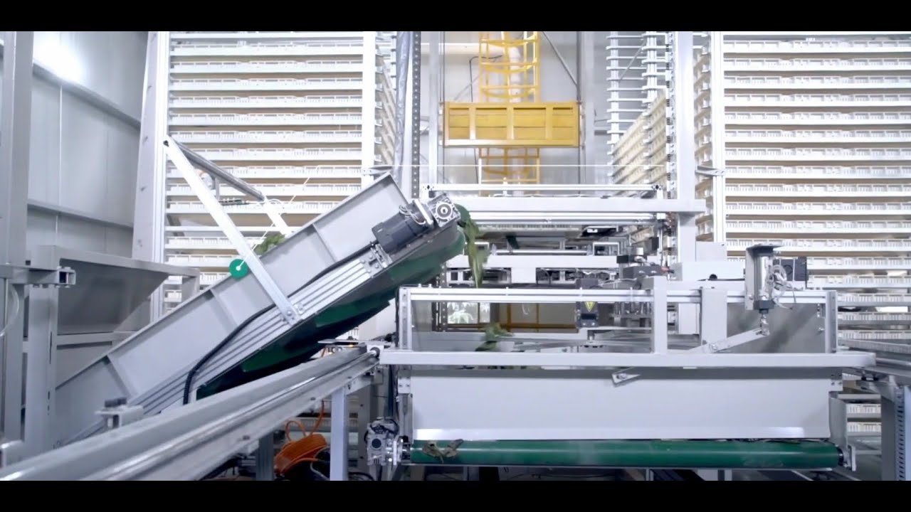 Sericulture Farm Automation Solution Industrial Silkworm Farming System ...