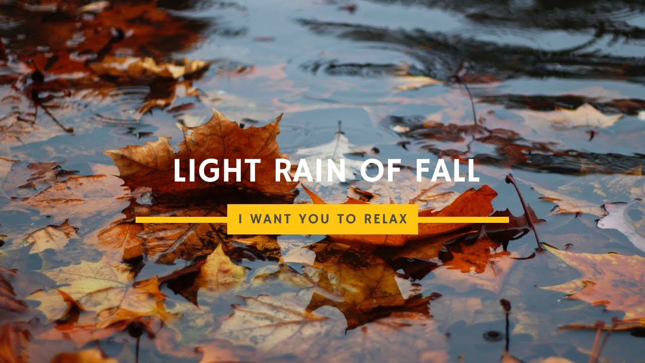 Light rain during a Fall day - Relaxing Raining sounds - peaceful and ...