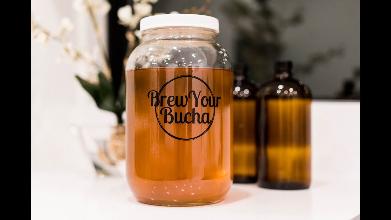 Brew Your Bucha 4 Litre Starter Kit Promotional Video T20 - YouTube