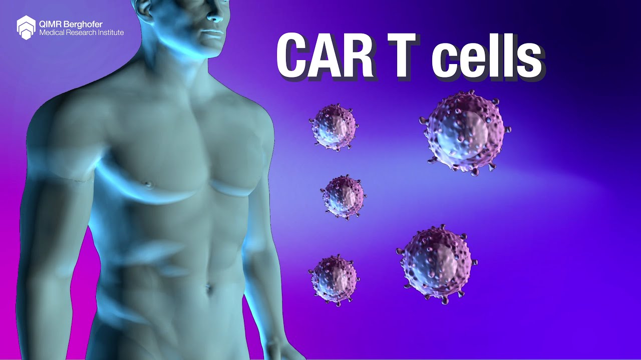 What are cancer-fighting CAR T cells and how do they work? - YouTube