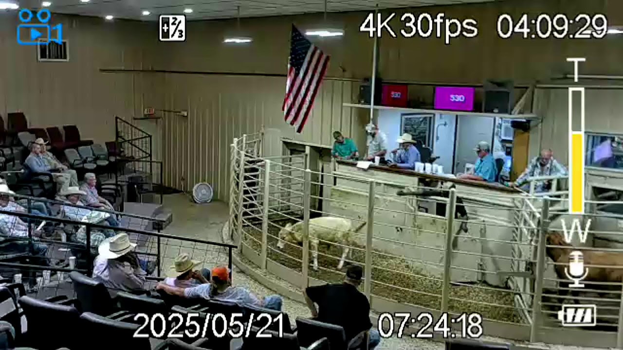 Red River Livestock LLC - YouTube