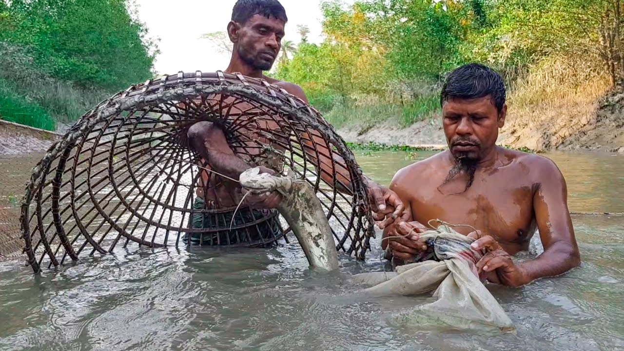 Traditional Fishing by Polo In Village River || Unique Fish Catching ...
