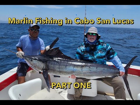 Marlin Fishing in Cabo San Lucas - Part 1 - YouTube