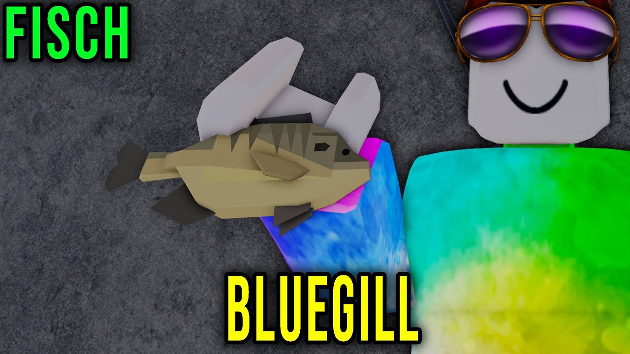 BLUEGILL - HOW TO GET [FISCH] - Roblox - YouTube